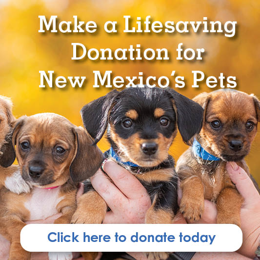 Animal Humane New Mexico – Saving Pets, Serving People